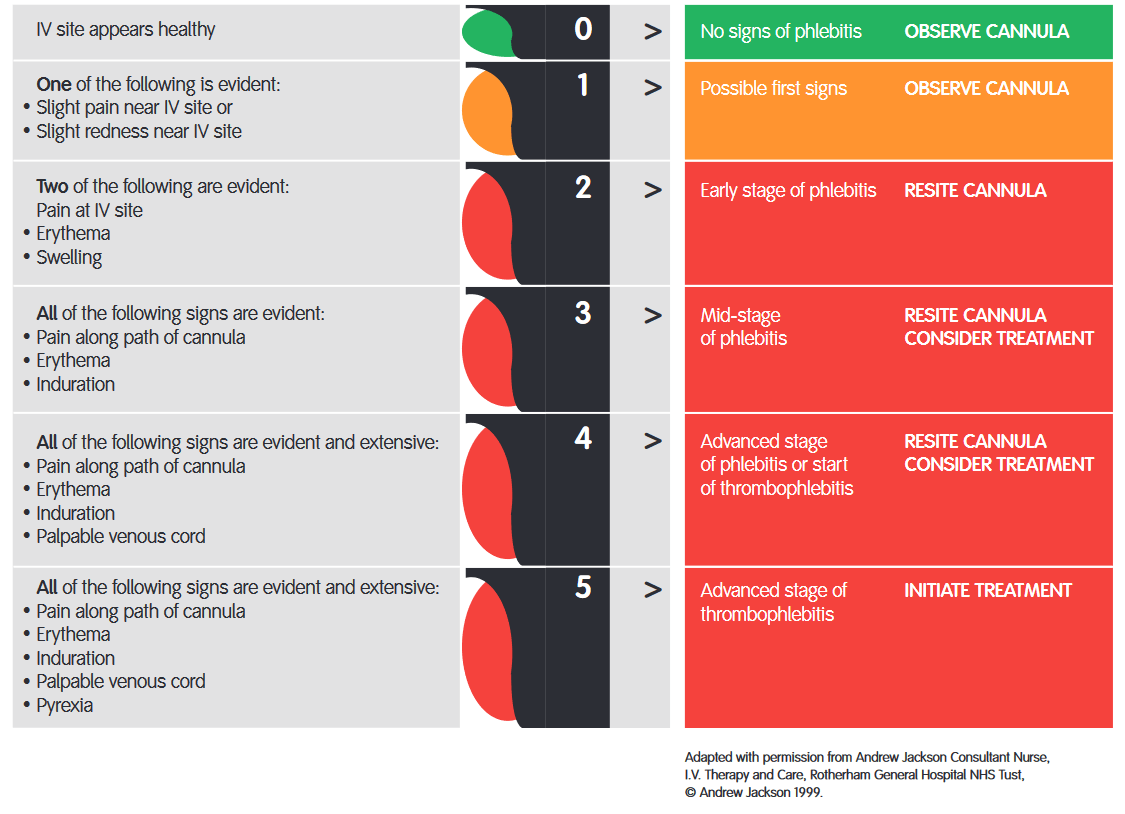 Menilai Kejadian Flebitis dengan VIP Score – Gustinerz.com